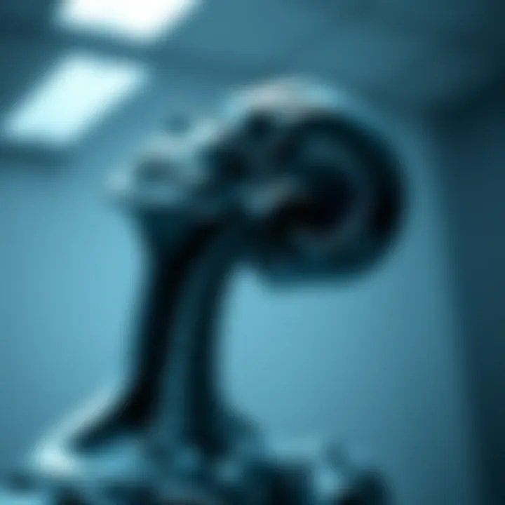 Understanding Straightened Cervical Lordosis and Its Effects